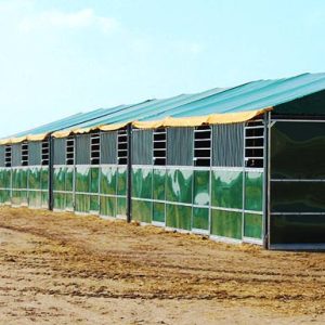 Equiapara - Temporary Boxes for Horses stabling